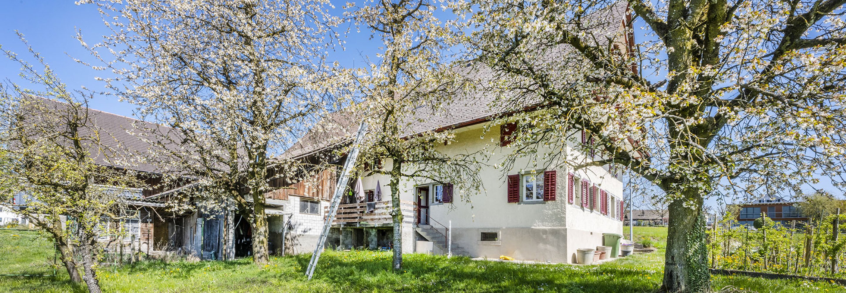 Bauernhof mit Scheune | Residence Immobilien AG